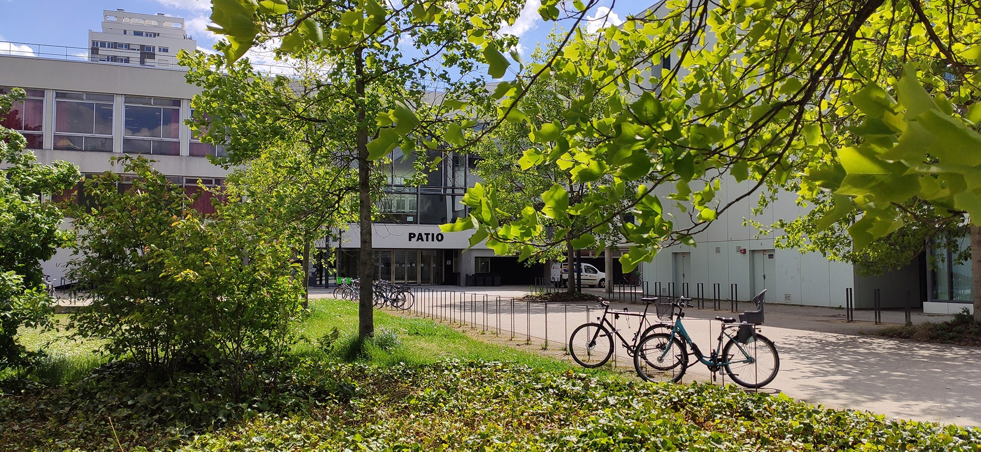 Contact Us - CAWEB Master